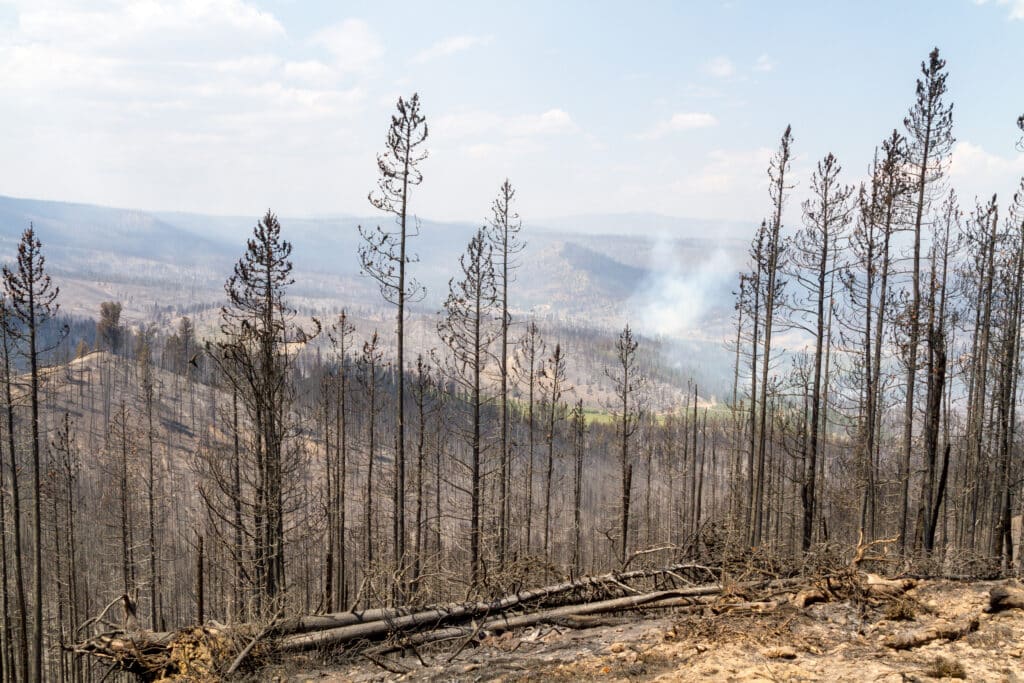 Shared Principles for Wildfire Funding Accountability and Transparency ...